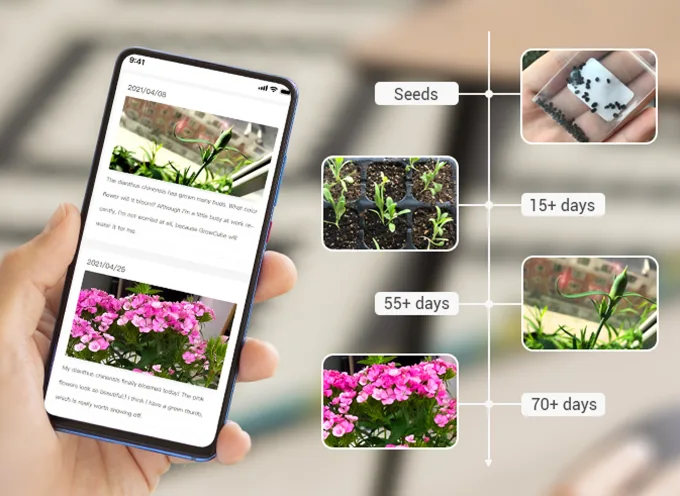 GrowCube - A Smart Plant Self Watering System From Elecrow