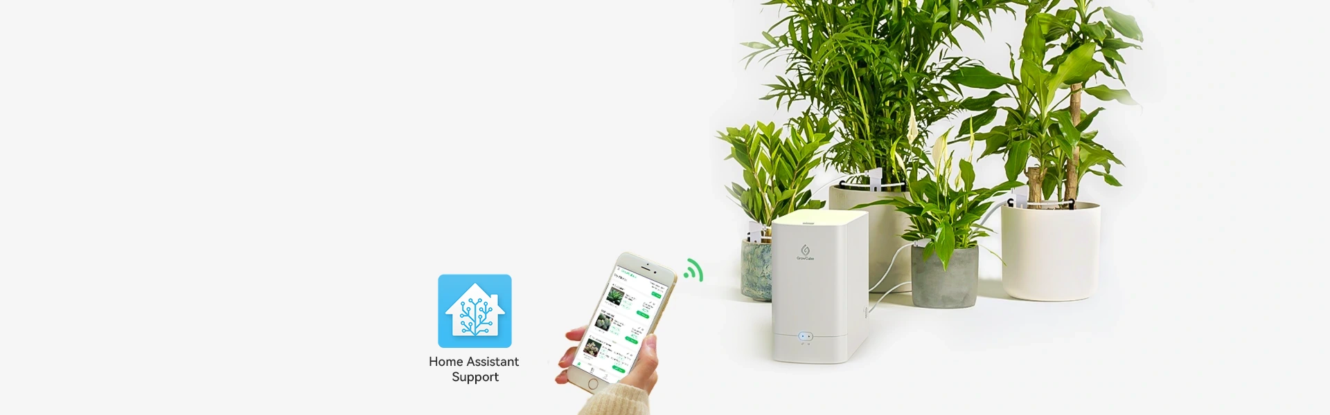 GrowCube - A Smart Plant Self Watering System From Elecrow