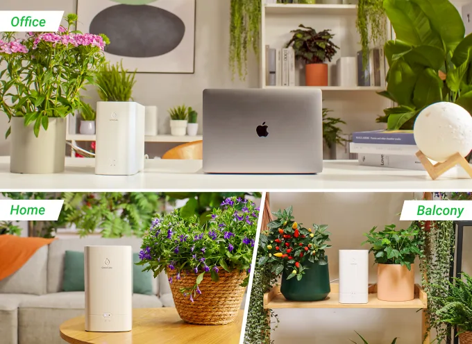 GrowCube - A Smart Plant Self Watering System From Elecrow