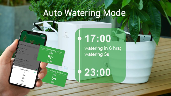 GrowCube - A Smart Plant Self Watering System From Elecrow